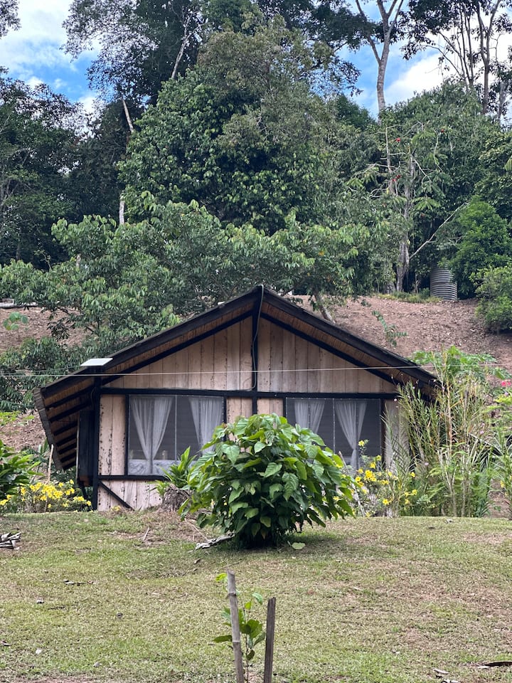El Corazón De La Amazonia Ecuatoriano - Orellana