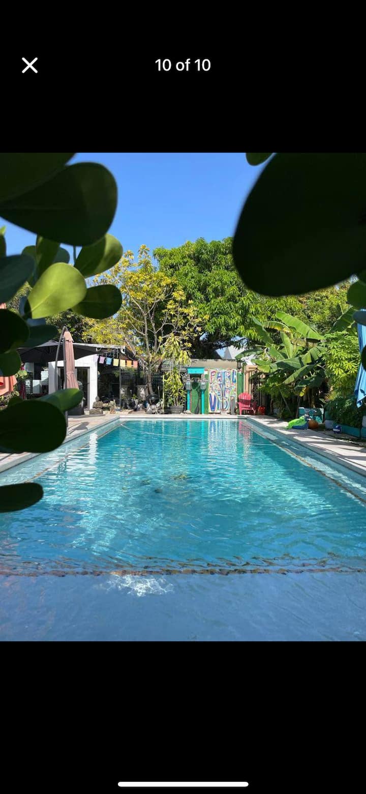 Rv With Love In The Jungle -