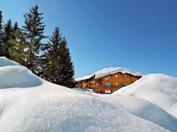 Ski-in Ski-out Duplex  Mountain View  Sleeps 6 - Peisey-Nancroix
