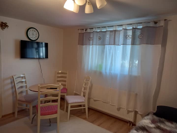 Orchidee - Radolfzell