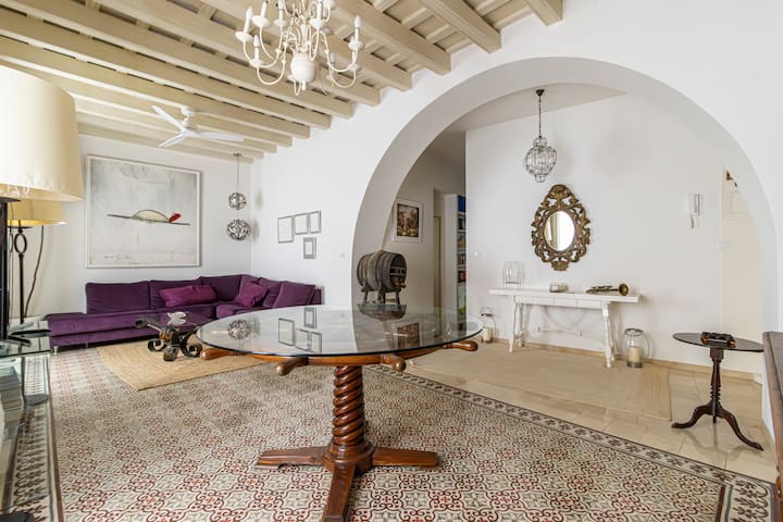 Nuevo/new Casa Palacio Manuela - Parking Opcional - Jerez de la Frontera