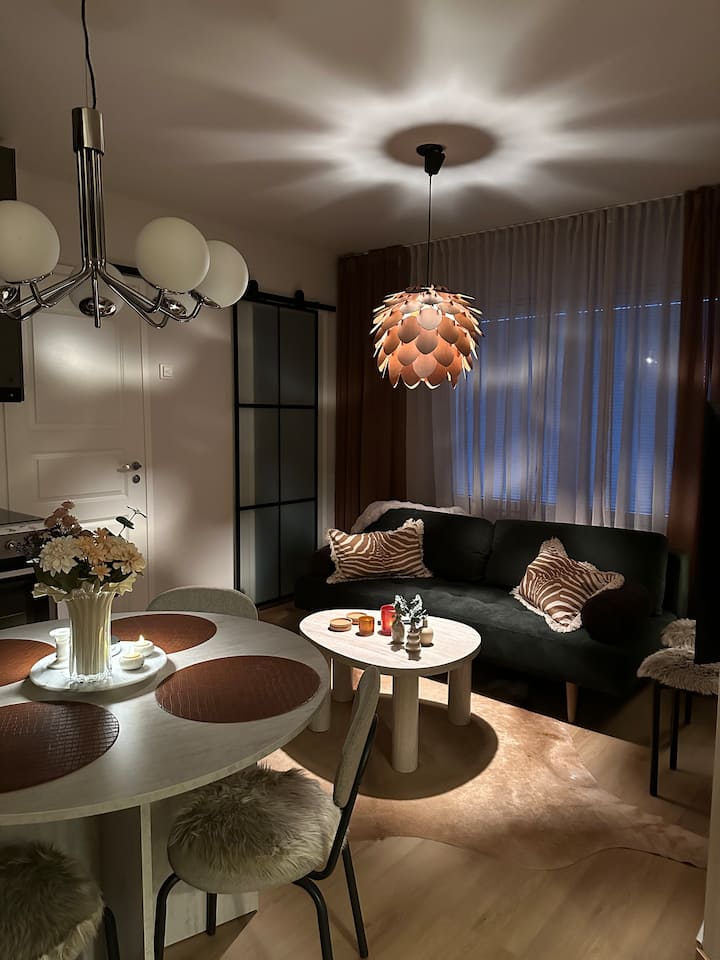 Tunnelmallinen Saunallinen Huoneisto Rovaniemellä - Rovaniemi