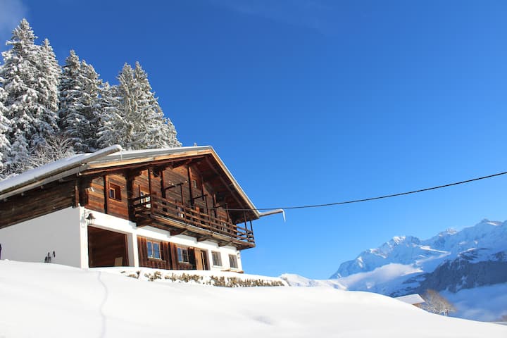 Grand Chalet, Vue Exceptionnelle Sur Le Mont Blanc - Hauteluce