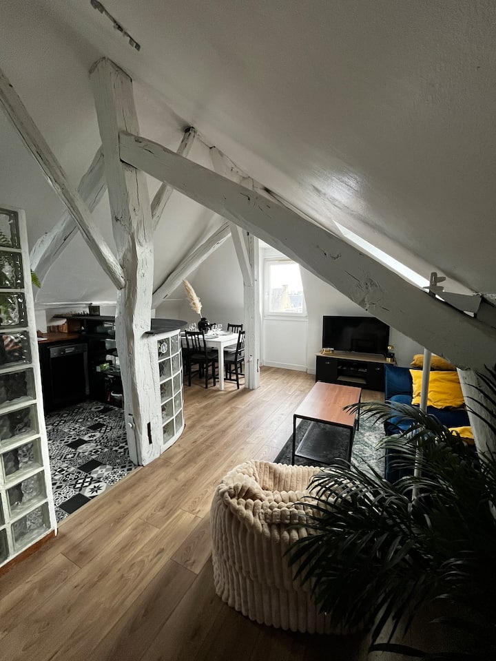 Le Duplex - T2 Cosy Hyper Centre-ville - Tours