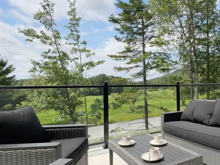 Repère D'albert | Passion Chalets | Mont Adstock - Thetford Mines