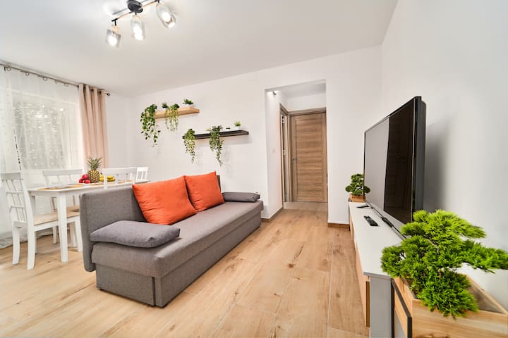 Daniel House Accommodation - By Open House - Timișoara