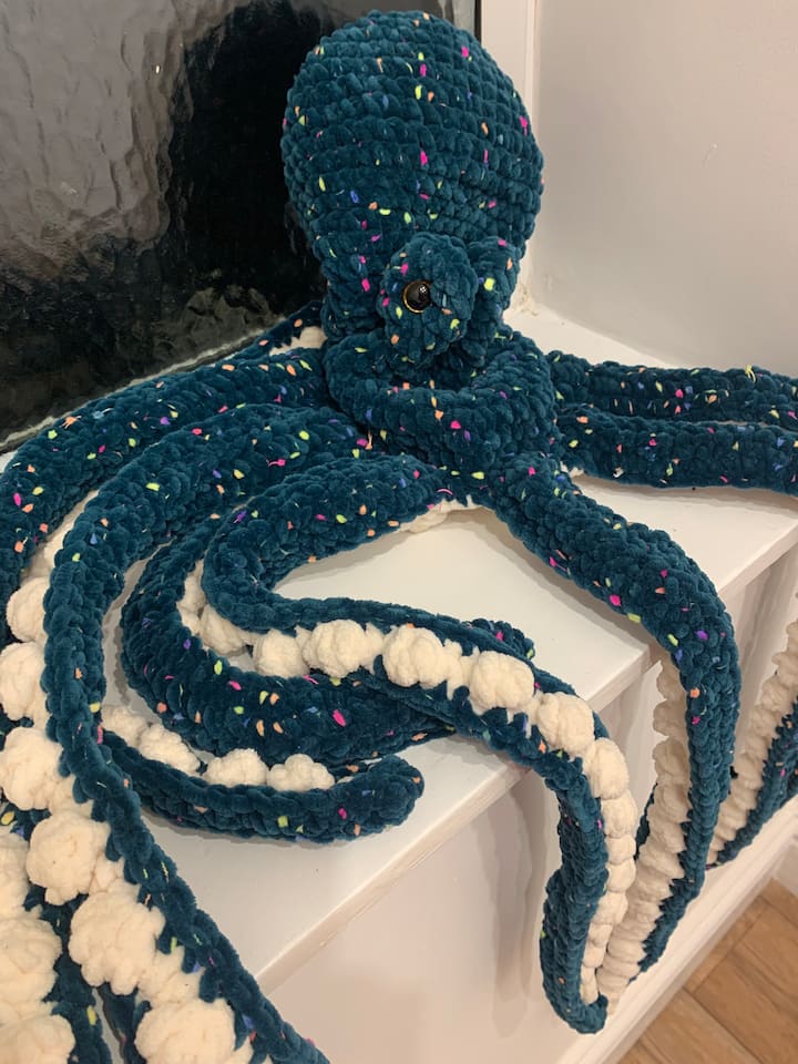 The Wendy House - Walton-on-the-Naze