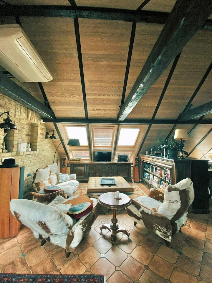 Special Apartment In The Old Town - Vilnius