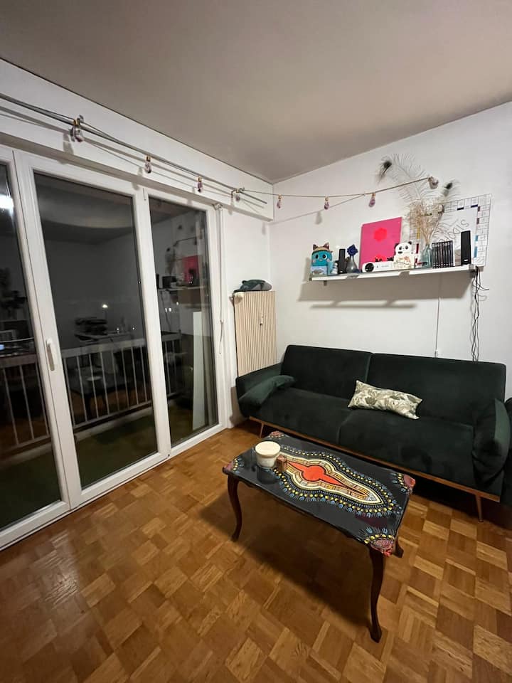 Appt Lumineux Vue Sur Le Salève, Plein Centre - Annemasse