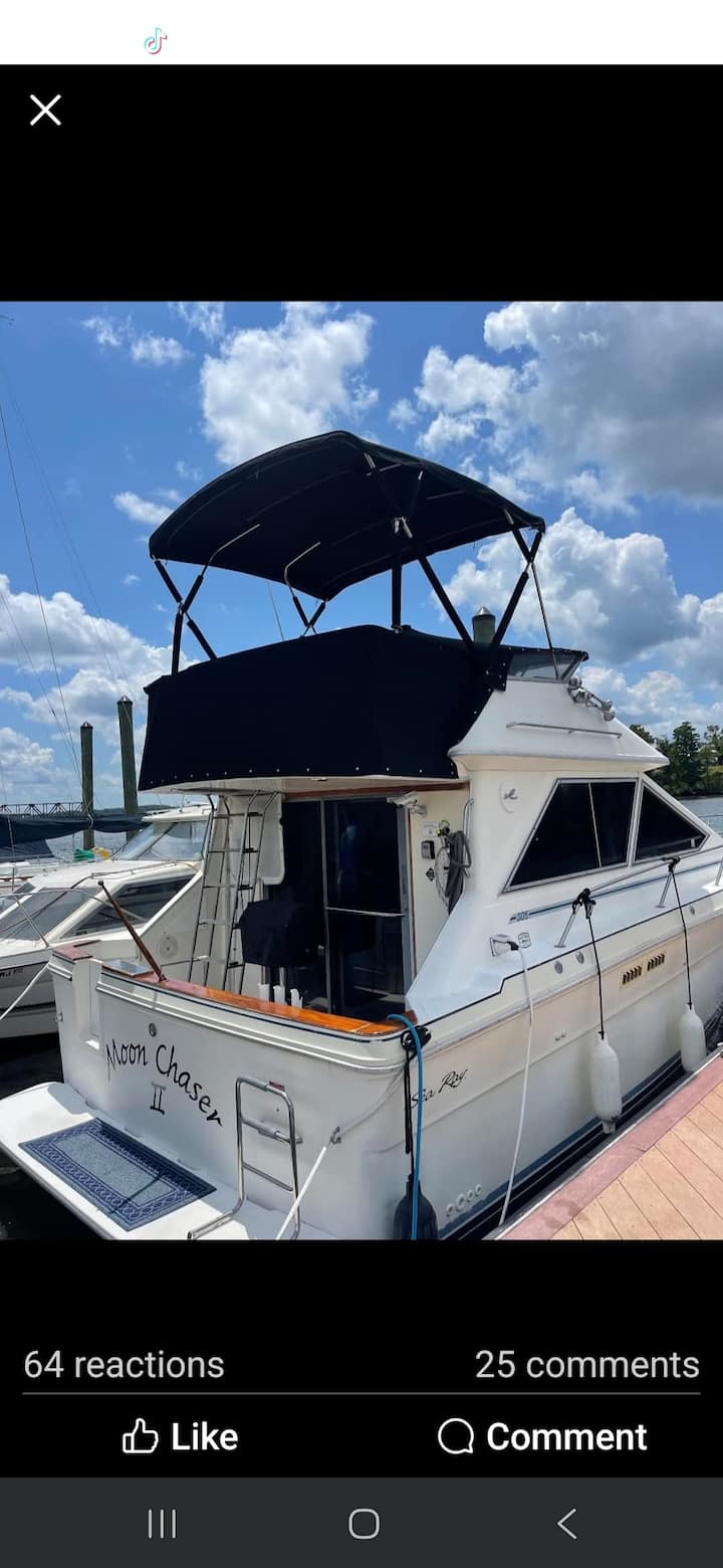 Moon Chaser - Goose Creek State Park, Washington