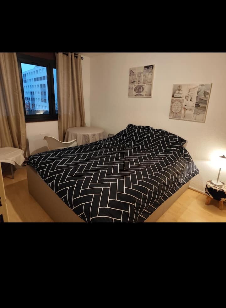 Apparemment Entier - Strasbourg