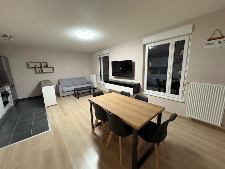 Confortable T3–tram Vers Centre Et Marchés De Noël - Strasbourg