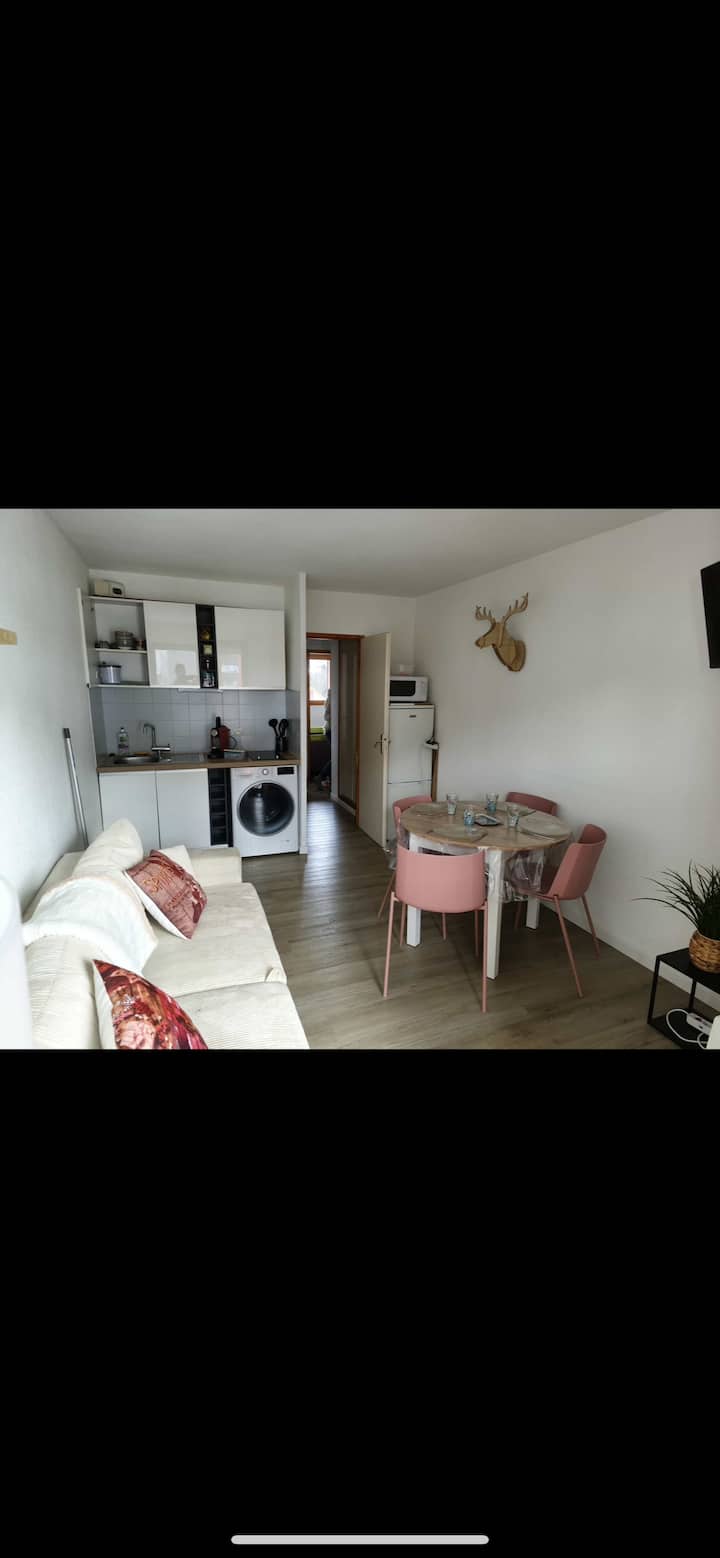 Vue Sur La Montagne Au Cœur Des Pistes - Métabief