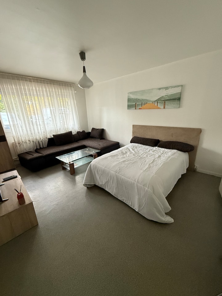 Un Appartement Meublé Près De Bâle (Suisse) - Ibis Aéroport Bâle Mulhouse