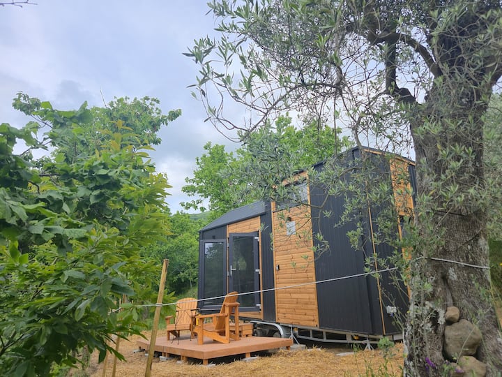 In The Wild Volcano Sea Side - Caserte