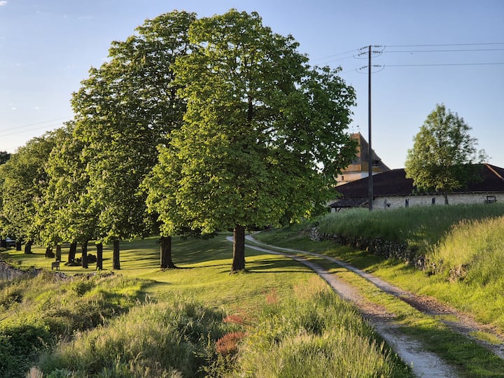 Appartement (4 Pers) Dans Un Domaine D'exception - Villeneuve-sur-Lot