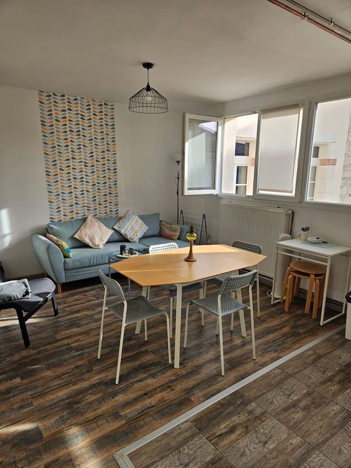Appartement Centre Agen , Moulin De Montesquieu - Agen