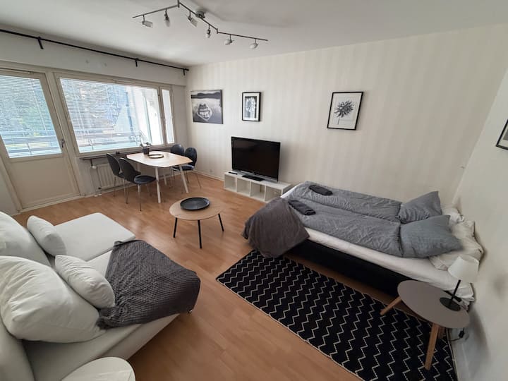 Studio Apartment Close To University With Terrace - Vaasa