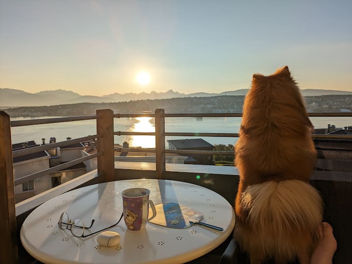 Utsiktsleilighet - Tromsø