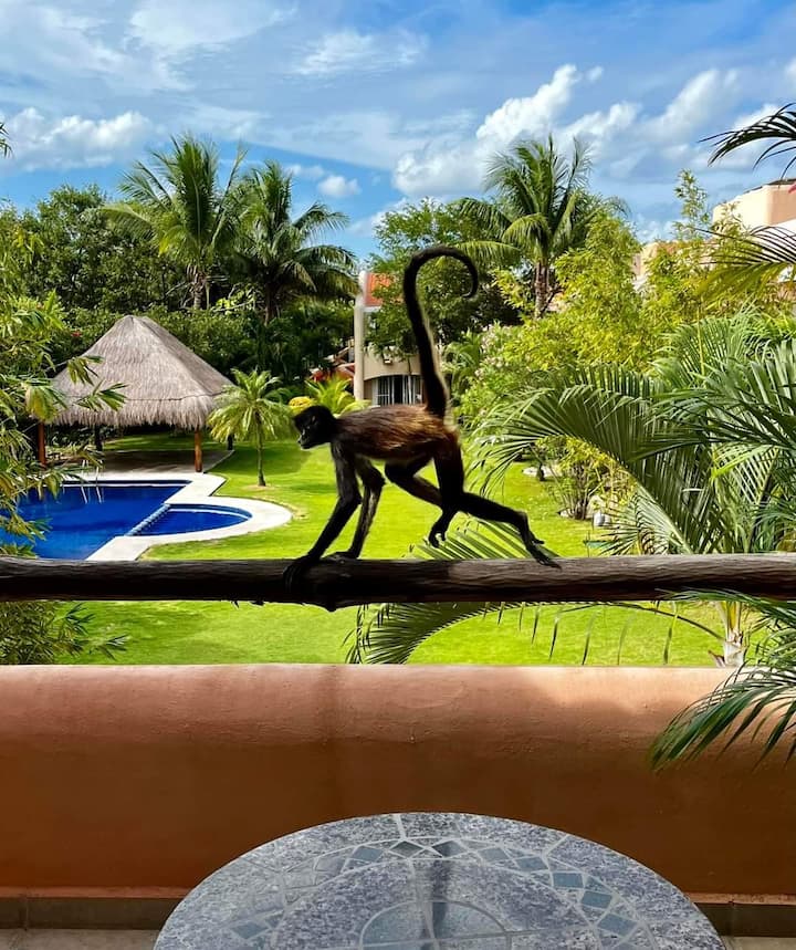 Stand-alone Casa In Gated Resort Community - Puerto Aventuras