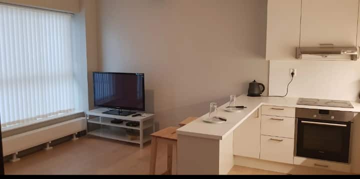 Great, Spacious Apt By Central Station!* - Oslo