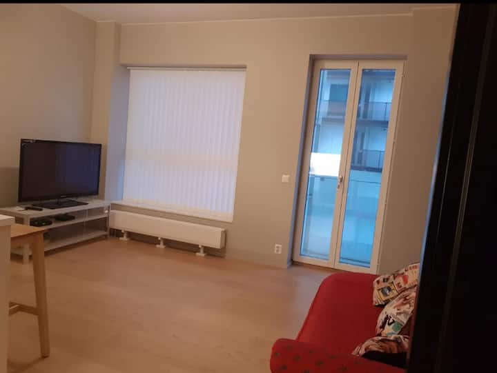 Great, Spacious Apt By Central Station!* - Oslo