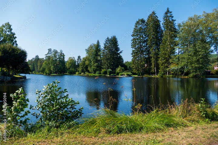 Landleben In Ludwigswinkel - Ludwigswinkel