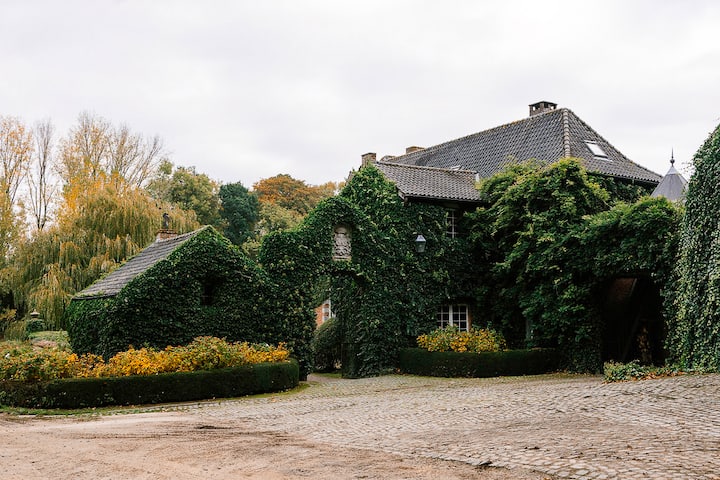 Le Collard à La Ferme De Balingue - Belgien