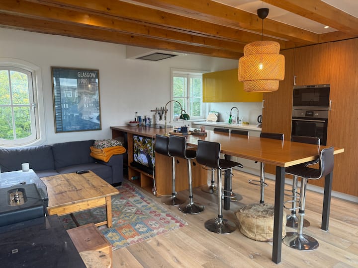 Beautifully Renovated Apartment Facing The Park - Amsterdam