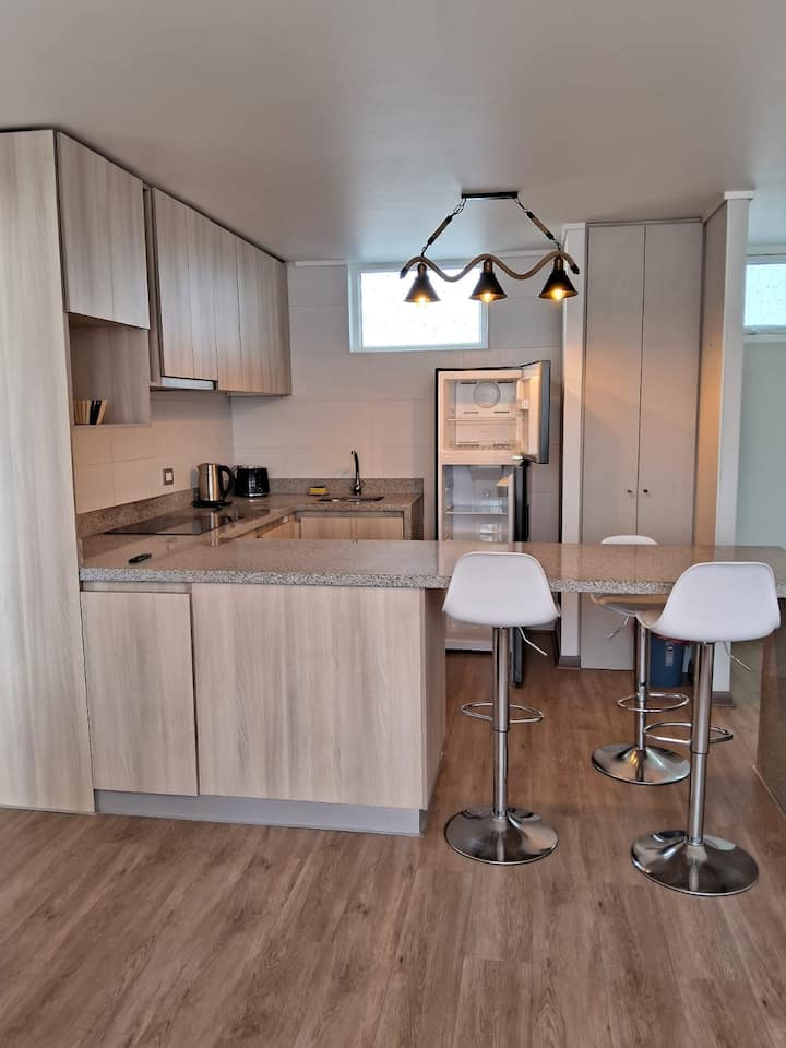 Amplio Departamento En El Corazon De Temuco - Temuco