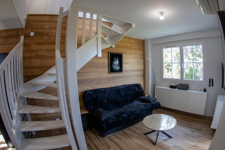 Appartement Type Chalet 50m² - Les Angles