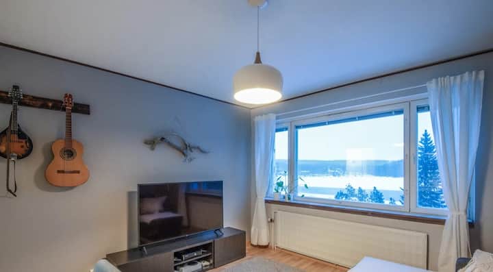 Pieni Kaksio Keskustassa. - Uurainen