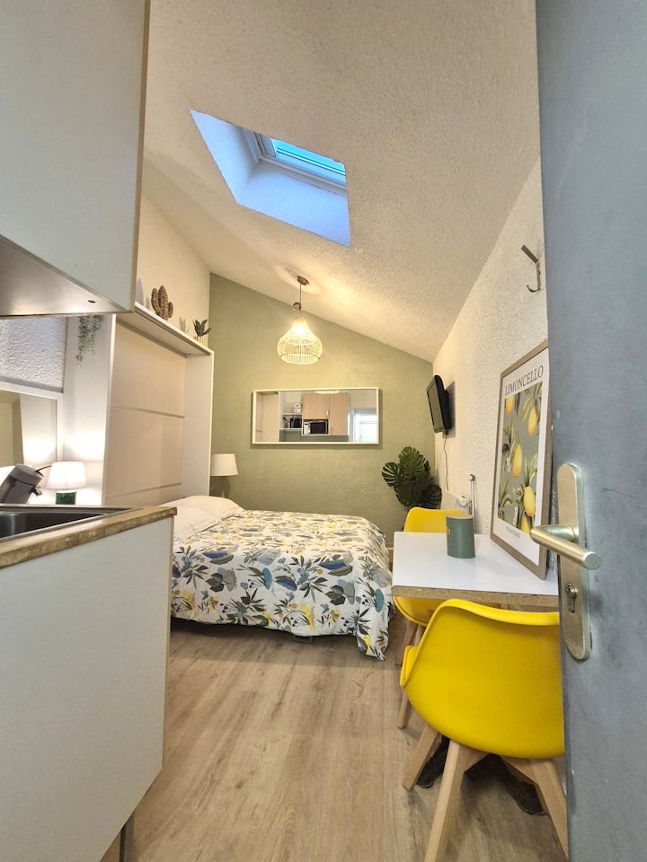 Le Limoncello / Studio Cosy Au Coeur De Grenoble - Grenoble