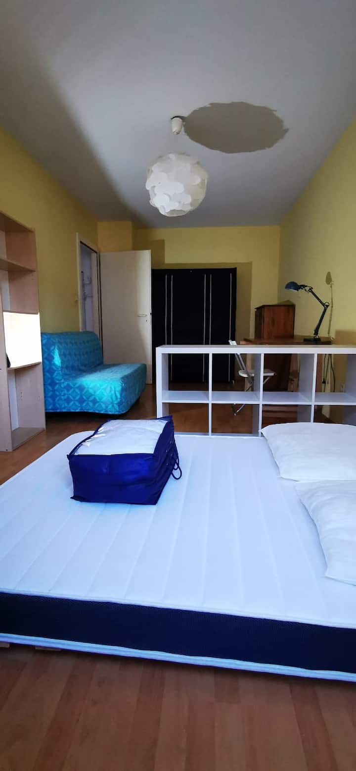 Le Schluthfeld Charmant Appartement Proche Centre - Schiltigheim