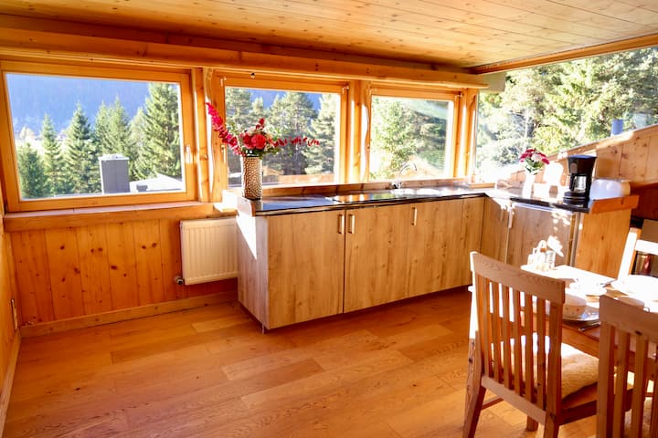 Penthouse Adlerhorst Cross Country Skiing - Leutasch