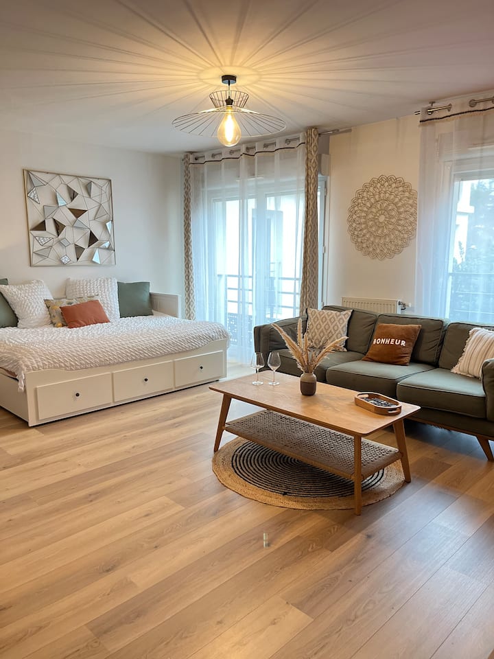 Grand Studio 47m² • Disneyland Paris
Parking Privé - Val-d'Oise