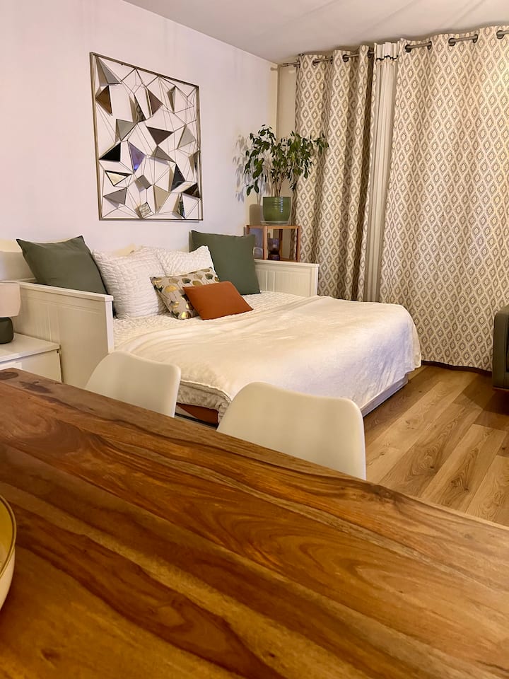 Spacieux Studio 47 M² / Disney Et Paris / Parking - Chelles