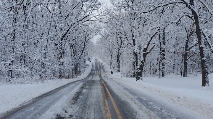 Cozy Room In Kalamazoo - Kalamazoo, MI