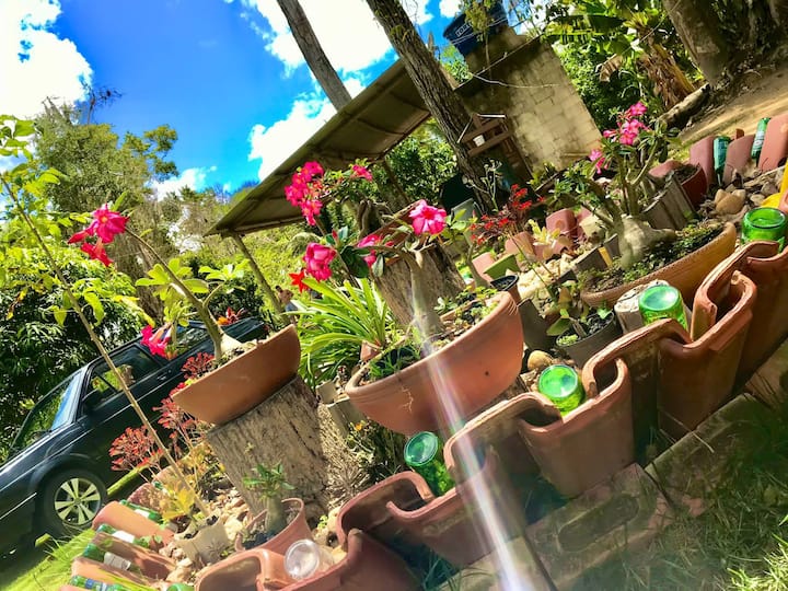 Chácara Para Passar Final De Semana - 