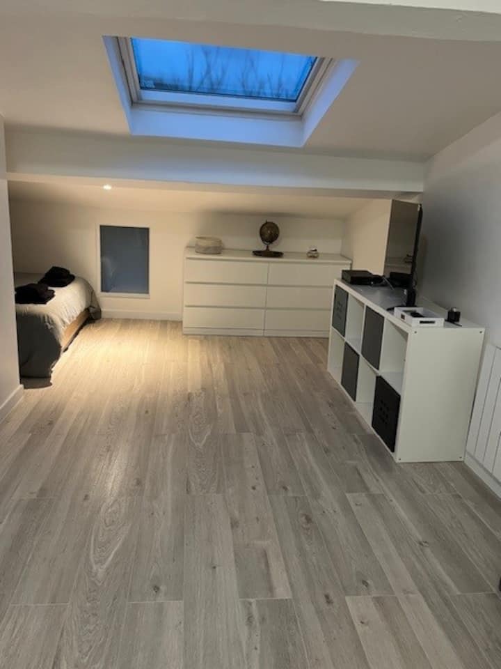 Studio Décines- Groupama Stadium- Ldlc Arena - - Décines-Charpieu