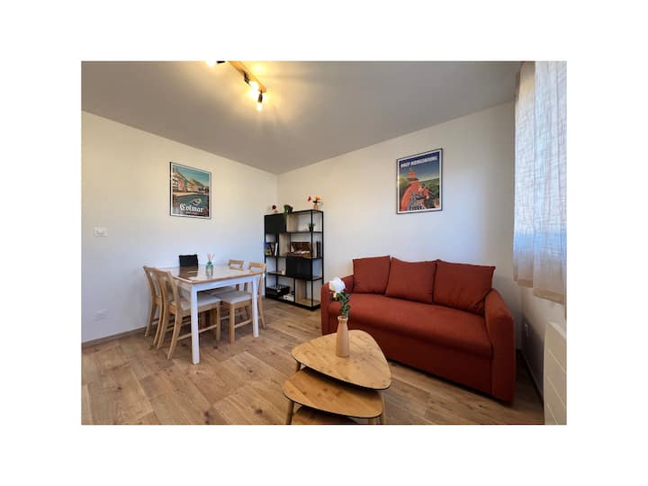 Appartement Route Des Vins - Châtenois