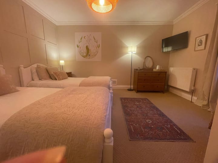 Twin Room In Guest House With Breakfast - Laugharne