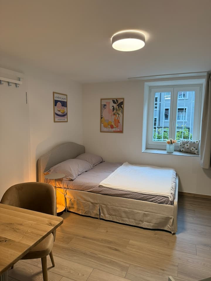 Smartroom Apartment In Zürich - Zürich
