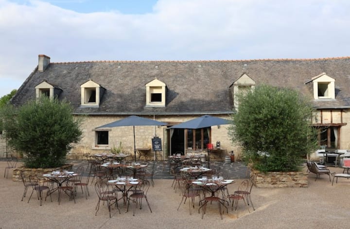 Domaine Du Plessis Jalesnes - Maine-et-Loire