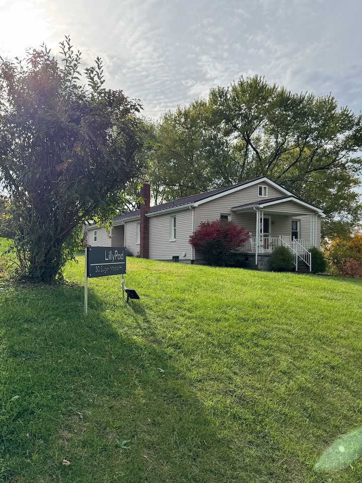 Lillypad - Cheat Lake, West Virginia