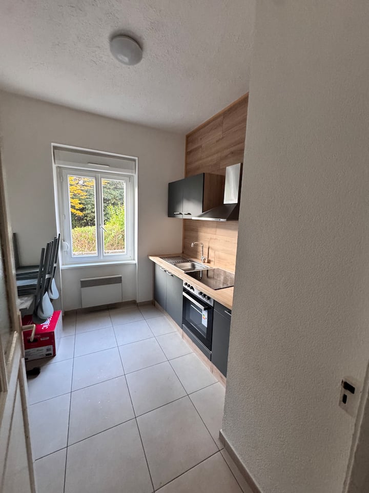 Magnifique Appartement Proche Du Marché De Noël - Hœnheim