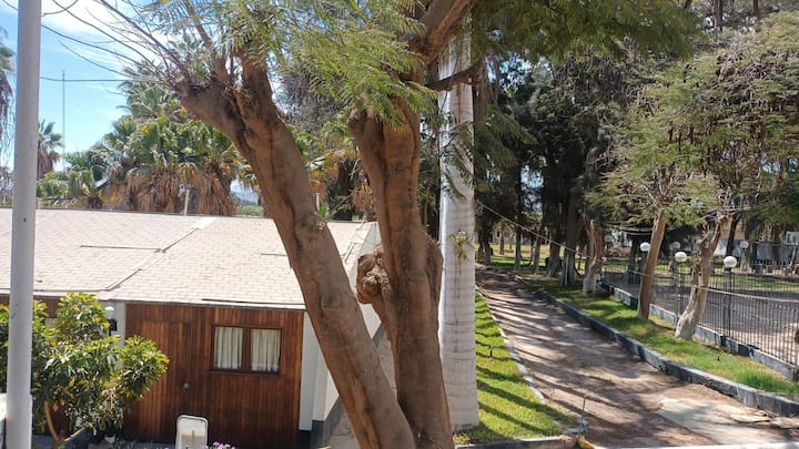 Tranquilidad Y Aire Puro Es Lo Que Encontraras. - Nazca