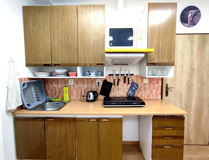 Bright Attic Prague Studio For Long Term Rent! - Praga