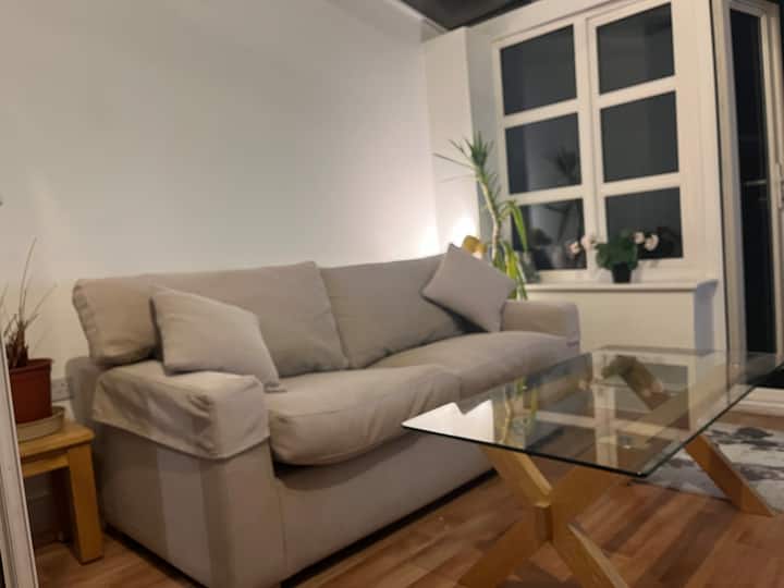 Rooksdown Town-house - Contractors Families & Pets - Basingstoke