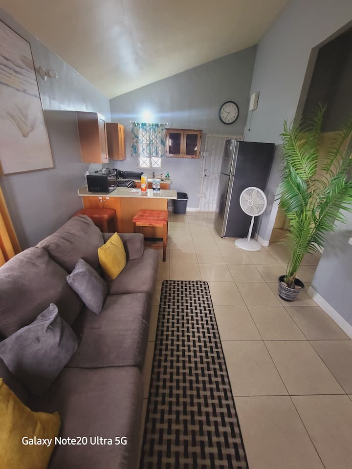 Phoenix Gated Community - Jamaica